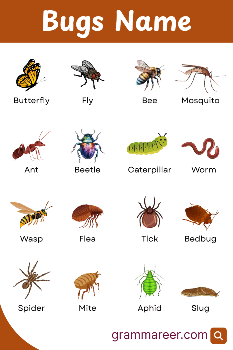 Types of Bugs and their Names in English: Full List with Pictures ...