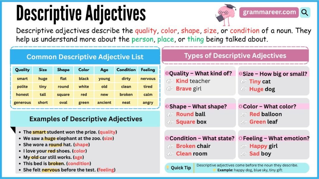 Descriptive Adjectives: List, Types & Examples - Grammareer