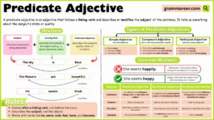 What Is a Predicate Adjective? Definition, List, and Examples - Grammareer