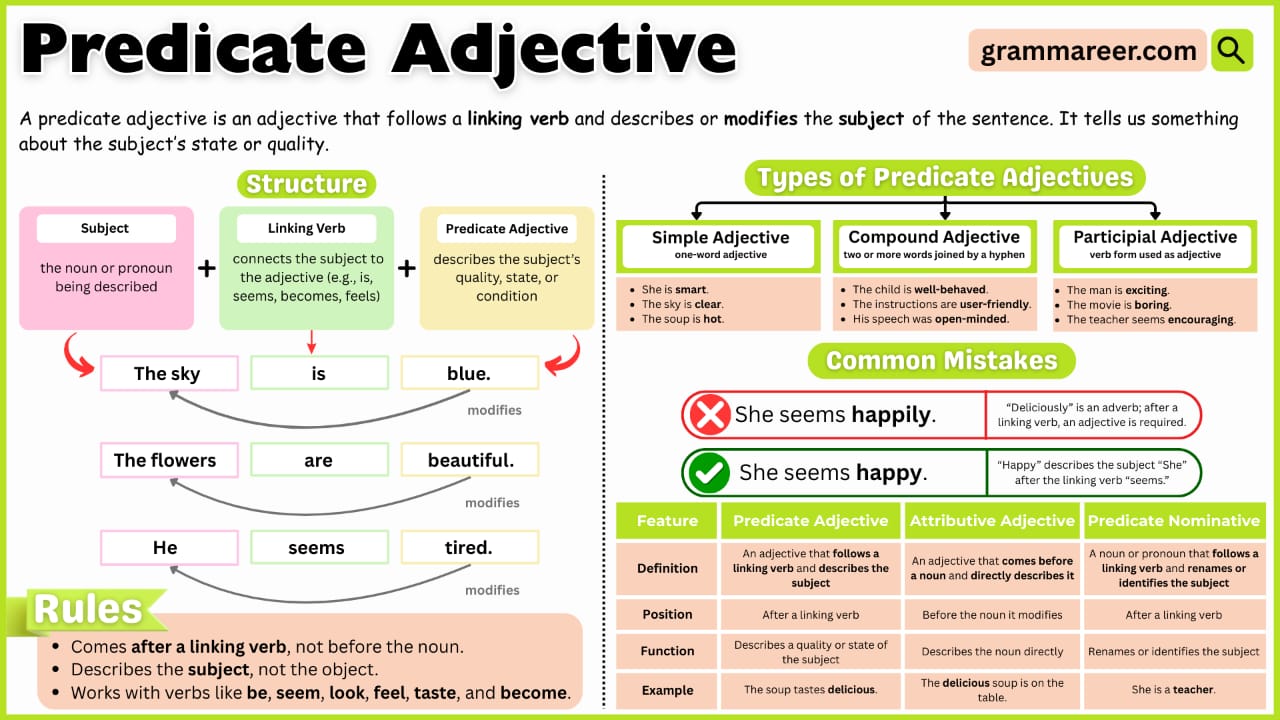 What Is a Predicate Adjective? Definition, List, and Examples - Grammareer