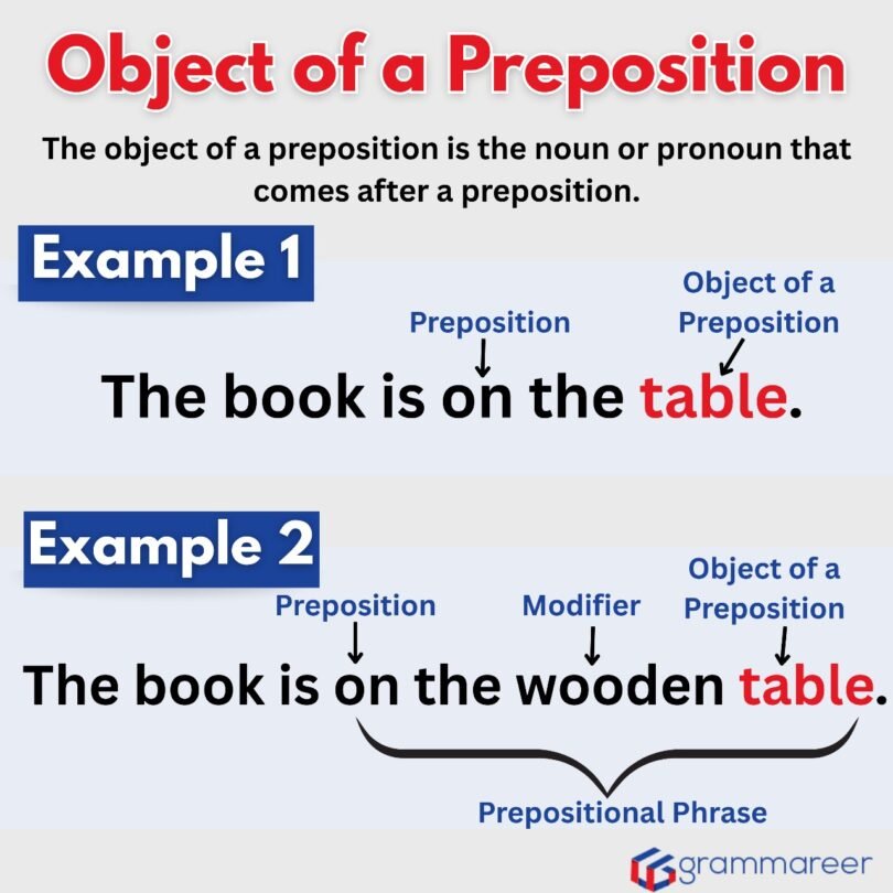 Prepositions: Definition, Types, List, and Examples in English - Grammareer