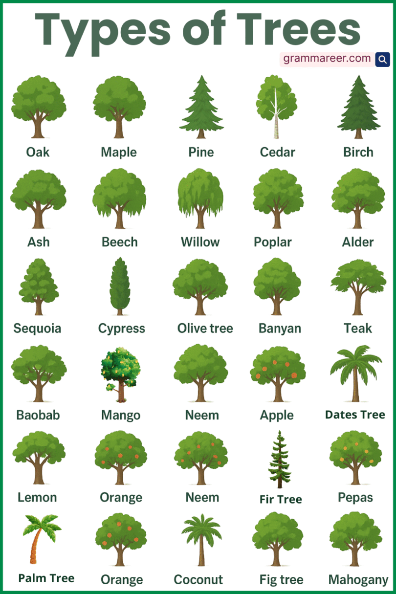 Different Types of Trees with Names: Identify Fast - Grammareer