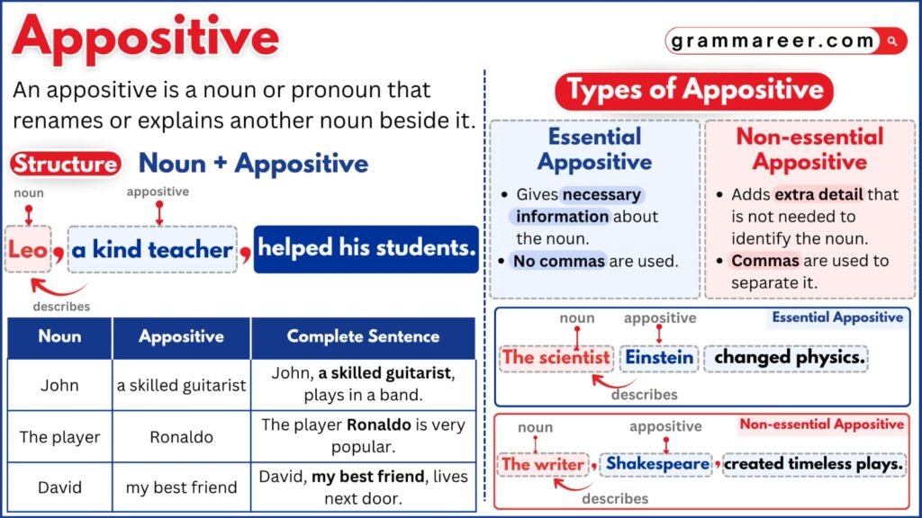 What Is an Appositive? Definition, Meaning, and Examples - Grammareer