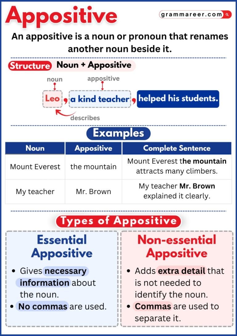 What Is an Appositive? Definition, Meaning, and Examples - Grammareer