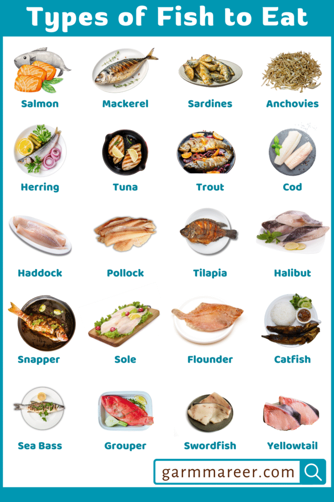 Types of Fish to Eat and their Health Benefits with Pictures - Grammareer