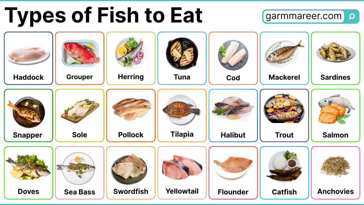 Types of Fish to Eat and their Health Benefits with Pictures - Grammareer