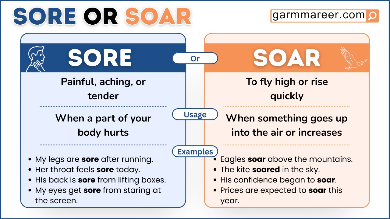 Soar or Sore: Meaning, Difference, and Easy Examples - Grammareer
