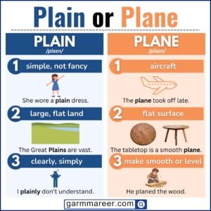 Plain or Plane: Difference, Definition, and Examples - Grammareer